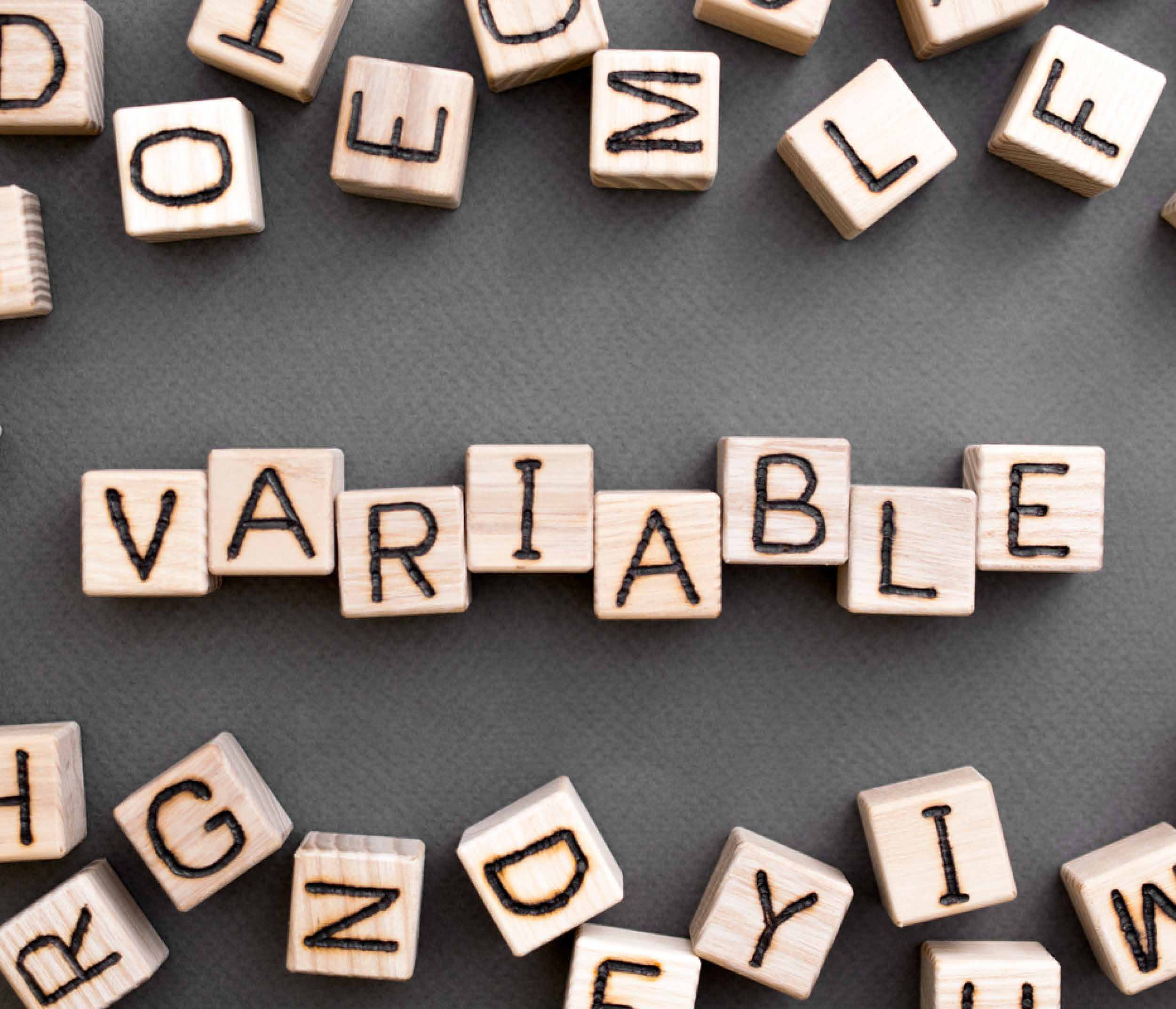 Understanding Variable Annuities